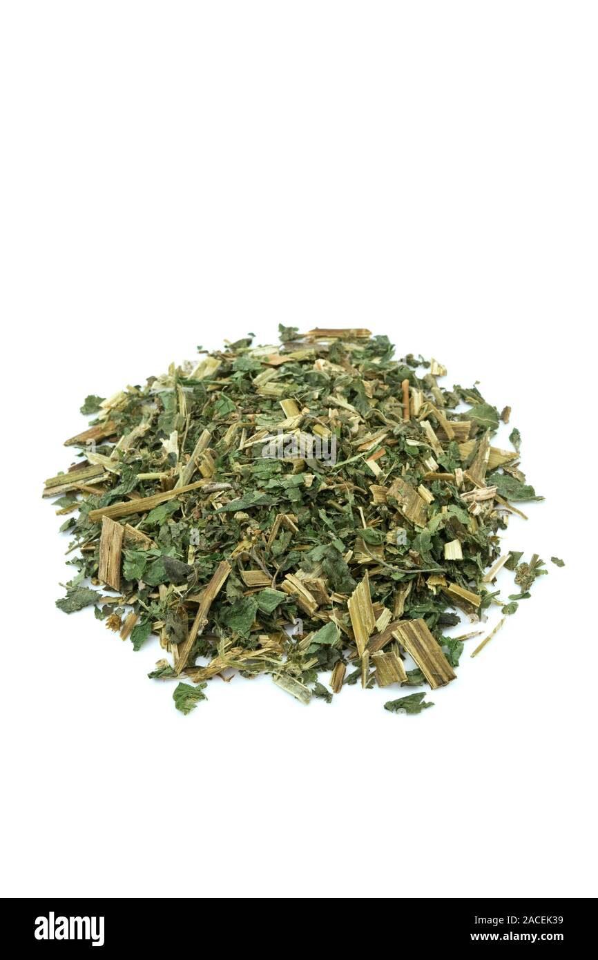 Pellitory-of-the-wall (Parietaria officinalis). This herb is used for ...