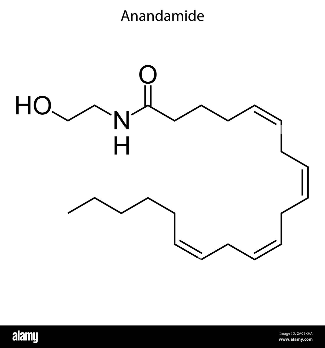 Skeletal formula of Anandamide. Chemical molecule Stock Vector Image ...