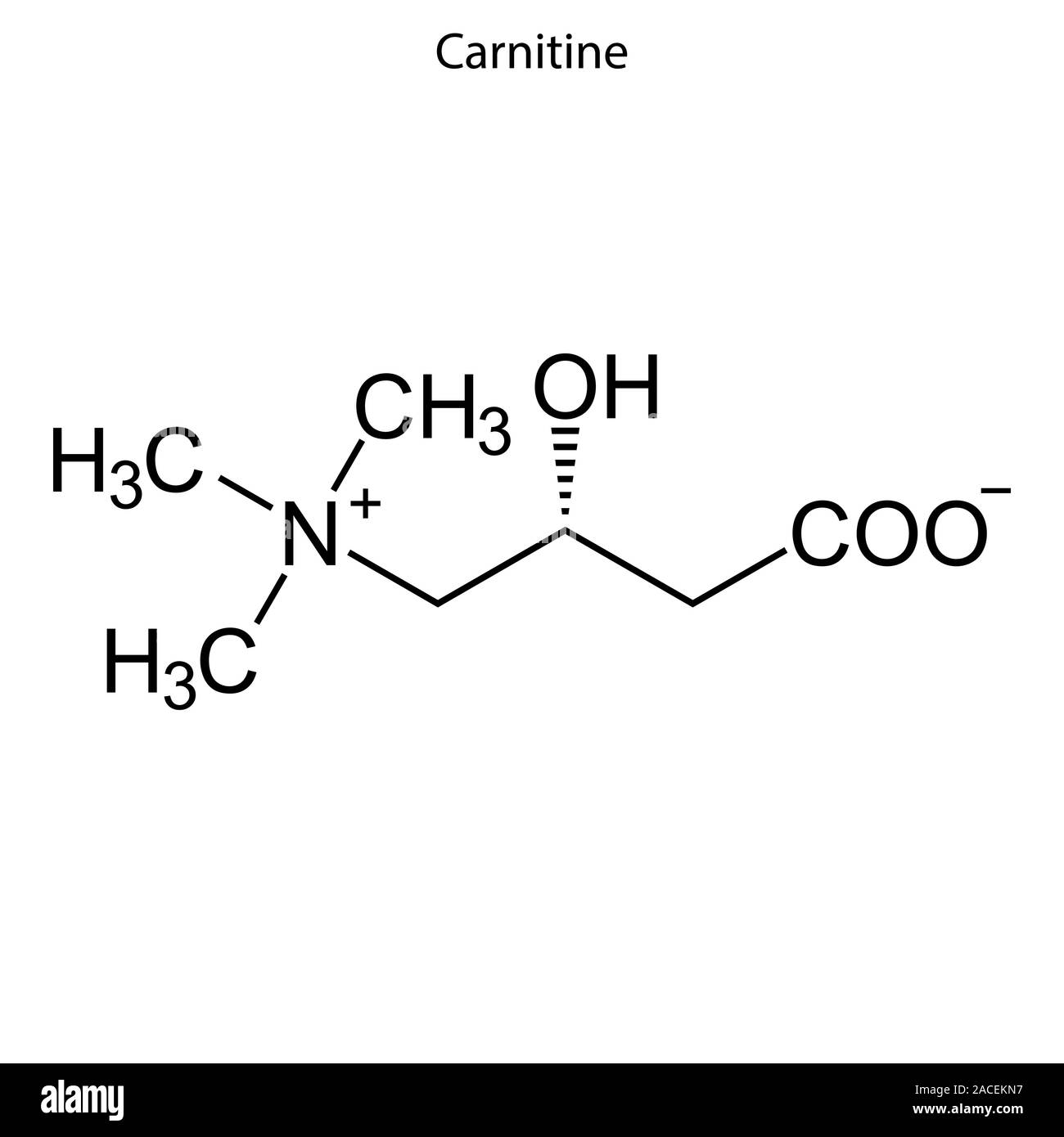 Skeletal formula of Carnitine. Chemical molecule Stock Vector Image ...