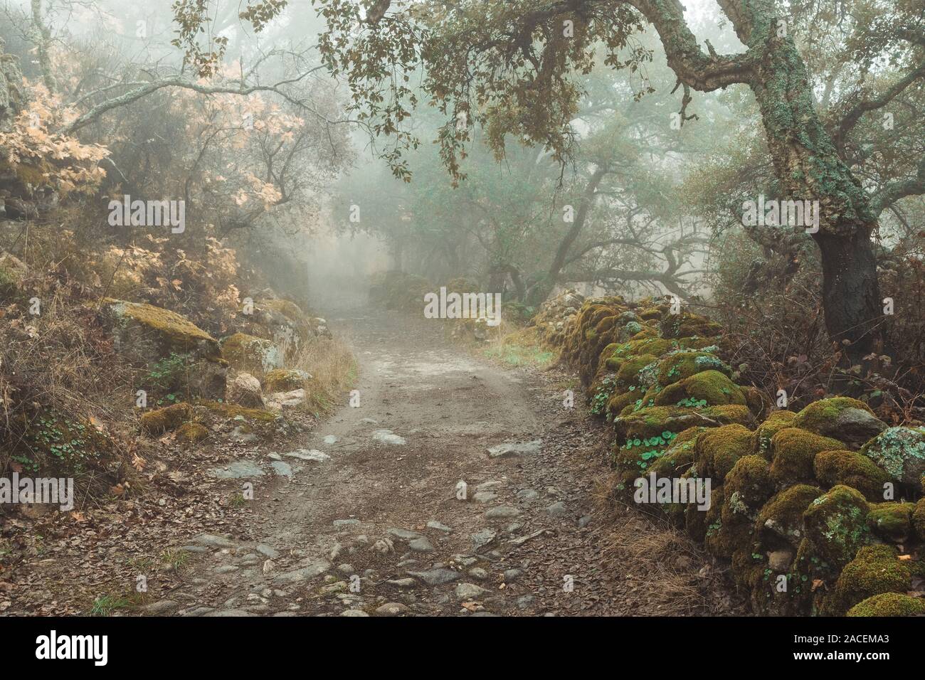 Montanchez spain hi-res stock photography and images - Alamy