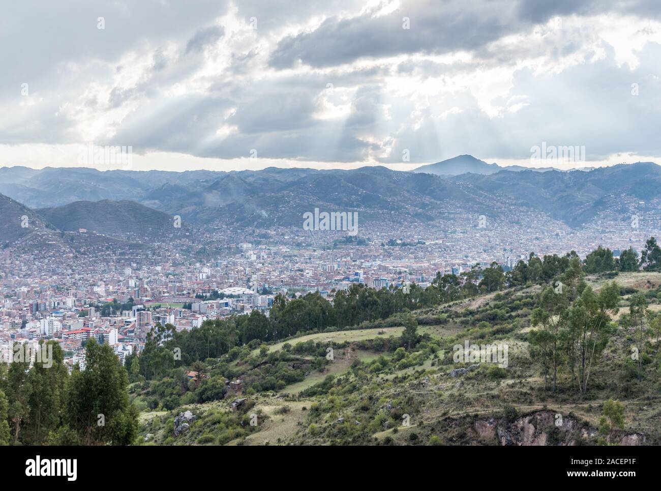 Beautiful city forest hi-res stock photography and images - Alamy