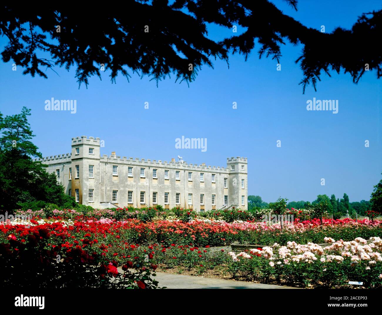 Syon Park. View of Syon house with the rose garden in foreground Stock ...