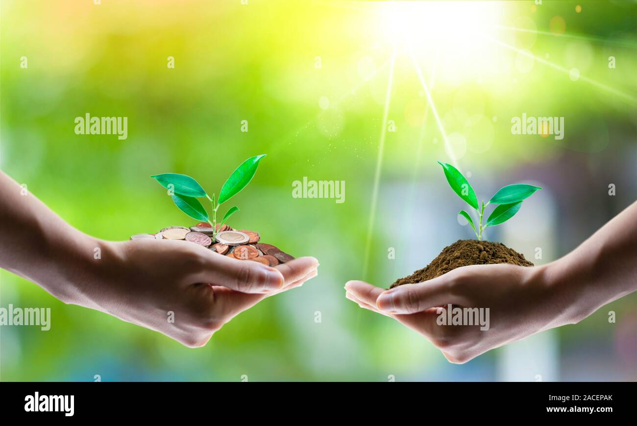 Saving energy concept with green earth and tree planting on volunteers ...