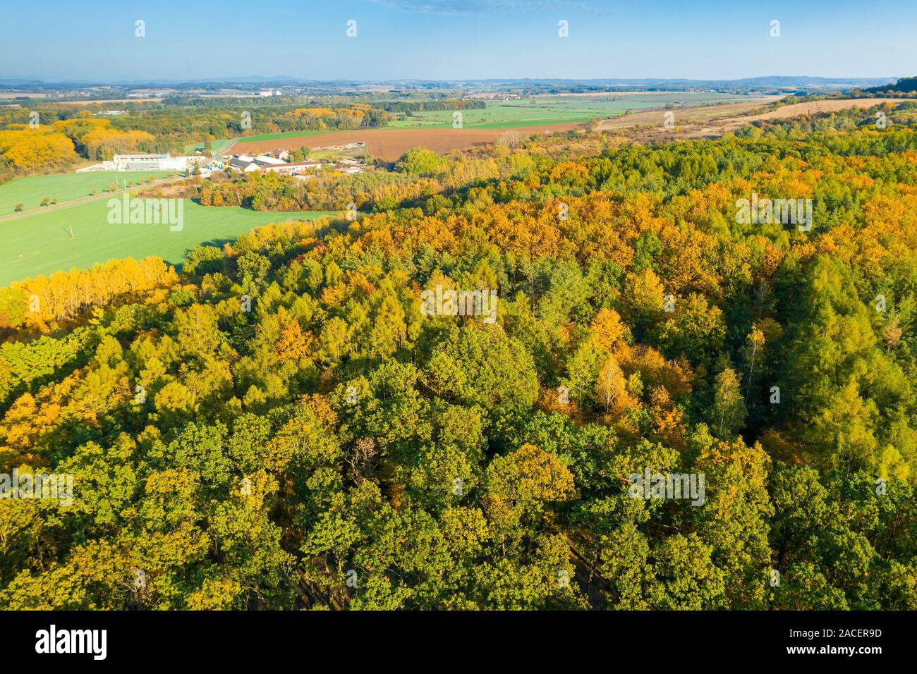Aerial view of forest with beautiful autumn colours. Top of the trees ...
