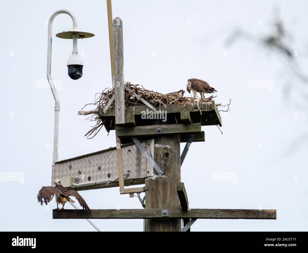 Dohles rocks hi-res stock photography and images - Alamy