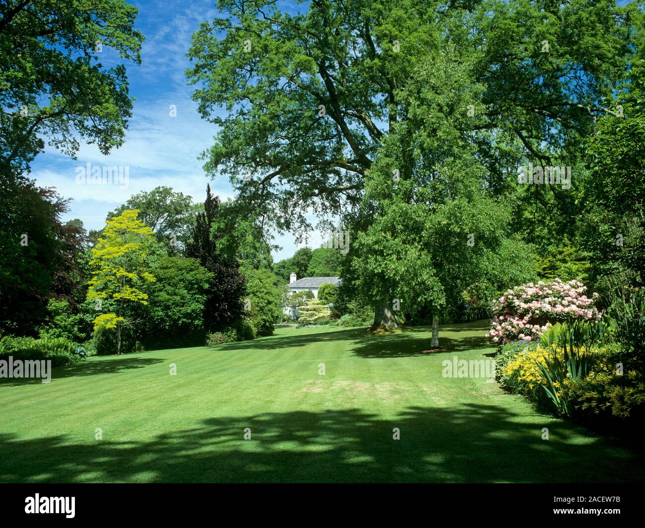 Lady Anne's Garden, RHS Rosemoor. Lady Anne Palmer's original garden ...