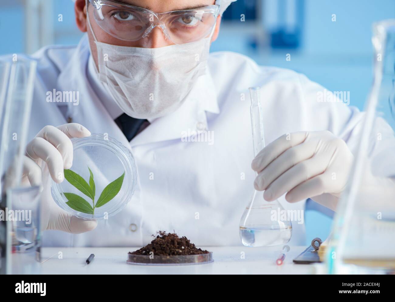 The male scientist researcher doing experiment in a laboratory Stock ...