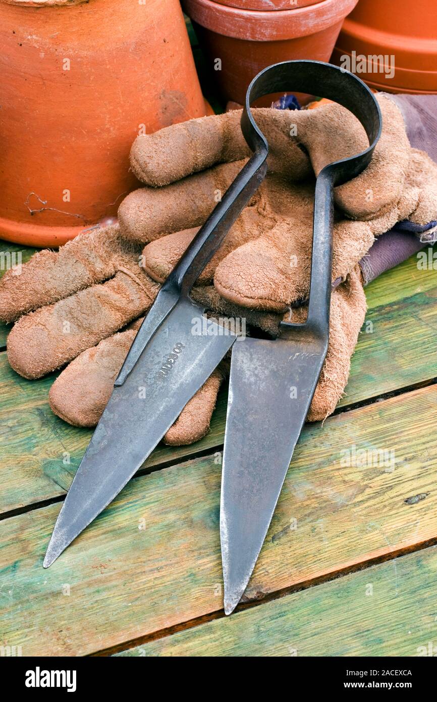 Garden shears and gloves on a bench Stock Photo - Alamy
