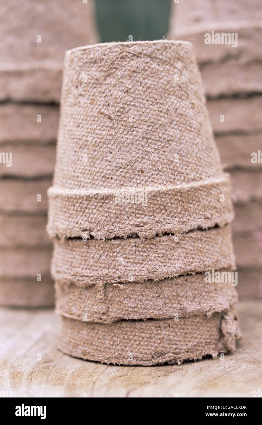 Stacked peat pots. This pot is used for starting seeds and is made from ...