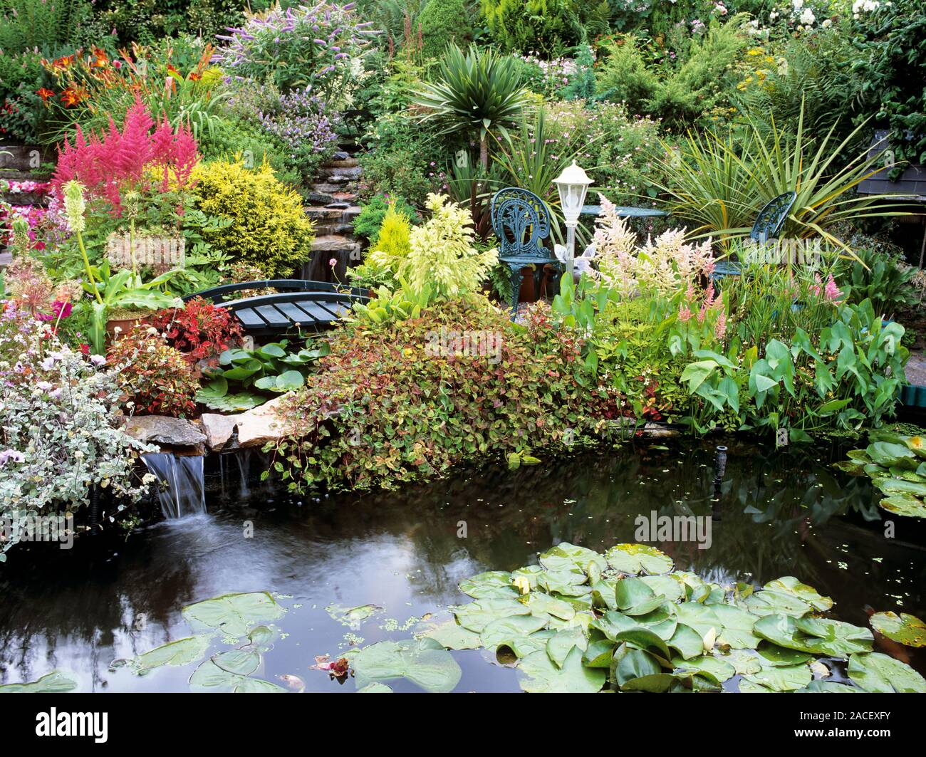 Small garden with pond and cascade water feature. Dense planting ...