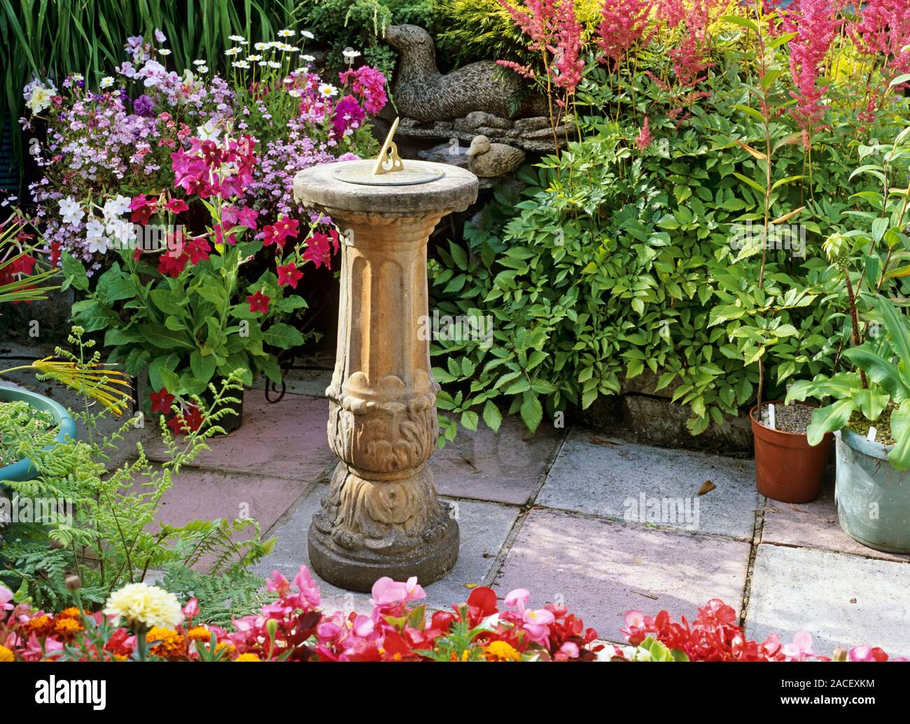 Sundial on a patio surrounded by plants and flowers in containers Stock ...