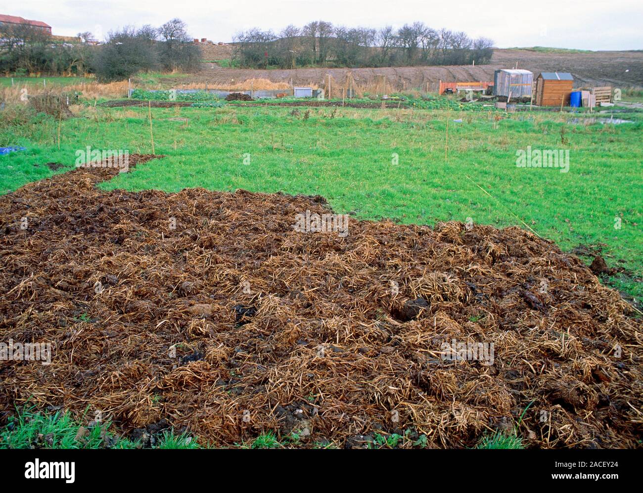 Compost on ground Stock Photo - Alamy