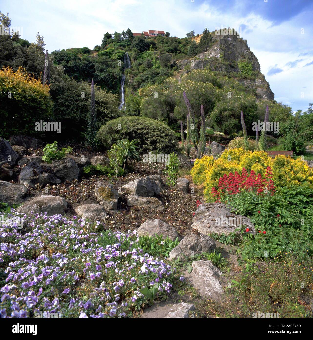 View mixed borders at Centennial Gardens, Napier, New Zealand Stock ...