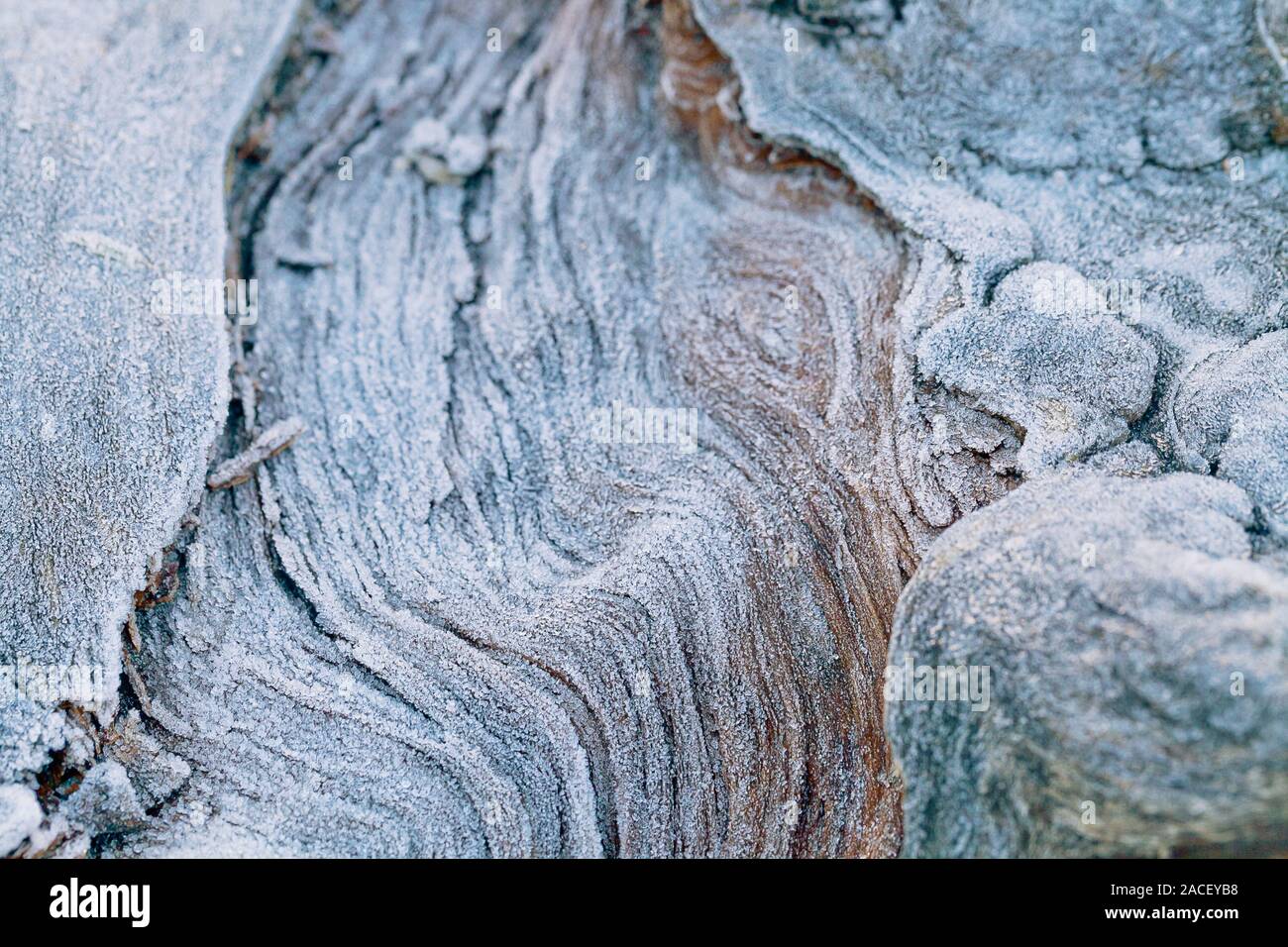 Frosted wood texture hi-res stock photography and images - Alamy