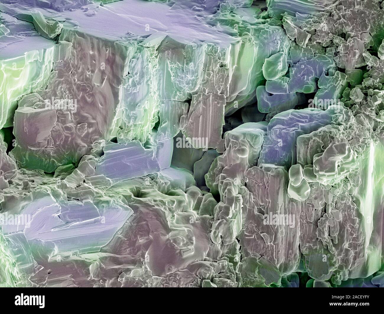 Sea salt. Coloured scanning electron micrograph (SEM) of sea salt ...