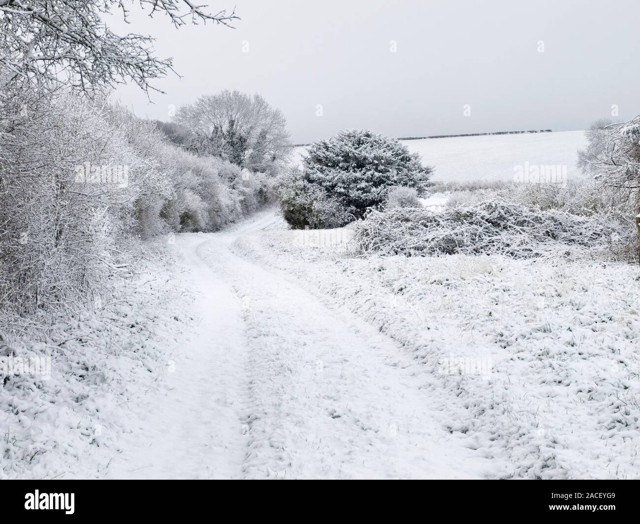 Snowy landscape on Cranborne Chase, Dorset, UK Stock Photo - Alamy
