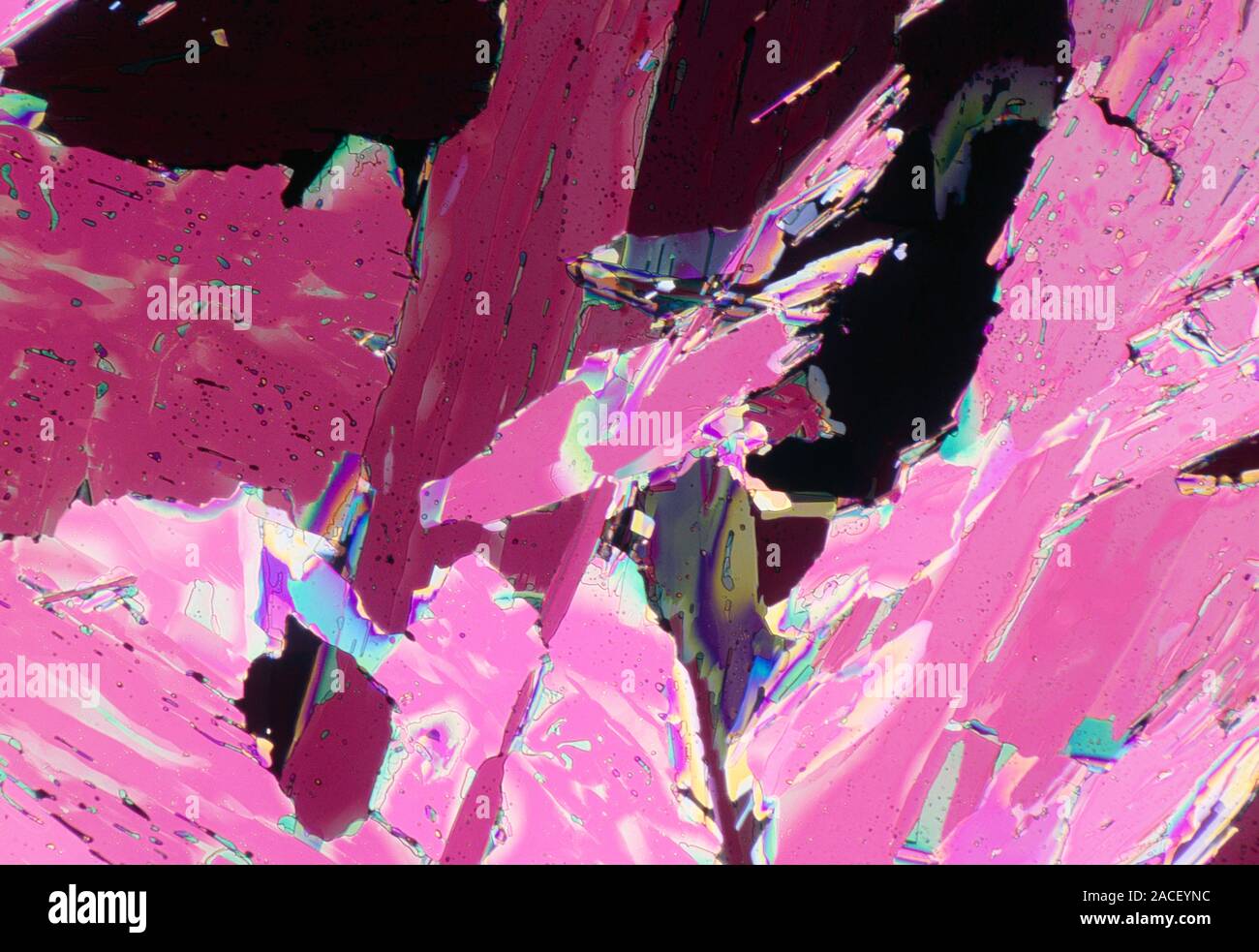 Tetracaine drug crystals. Polarised light micrograph of tetracaine ...