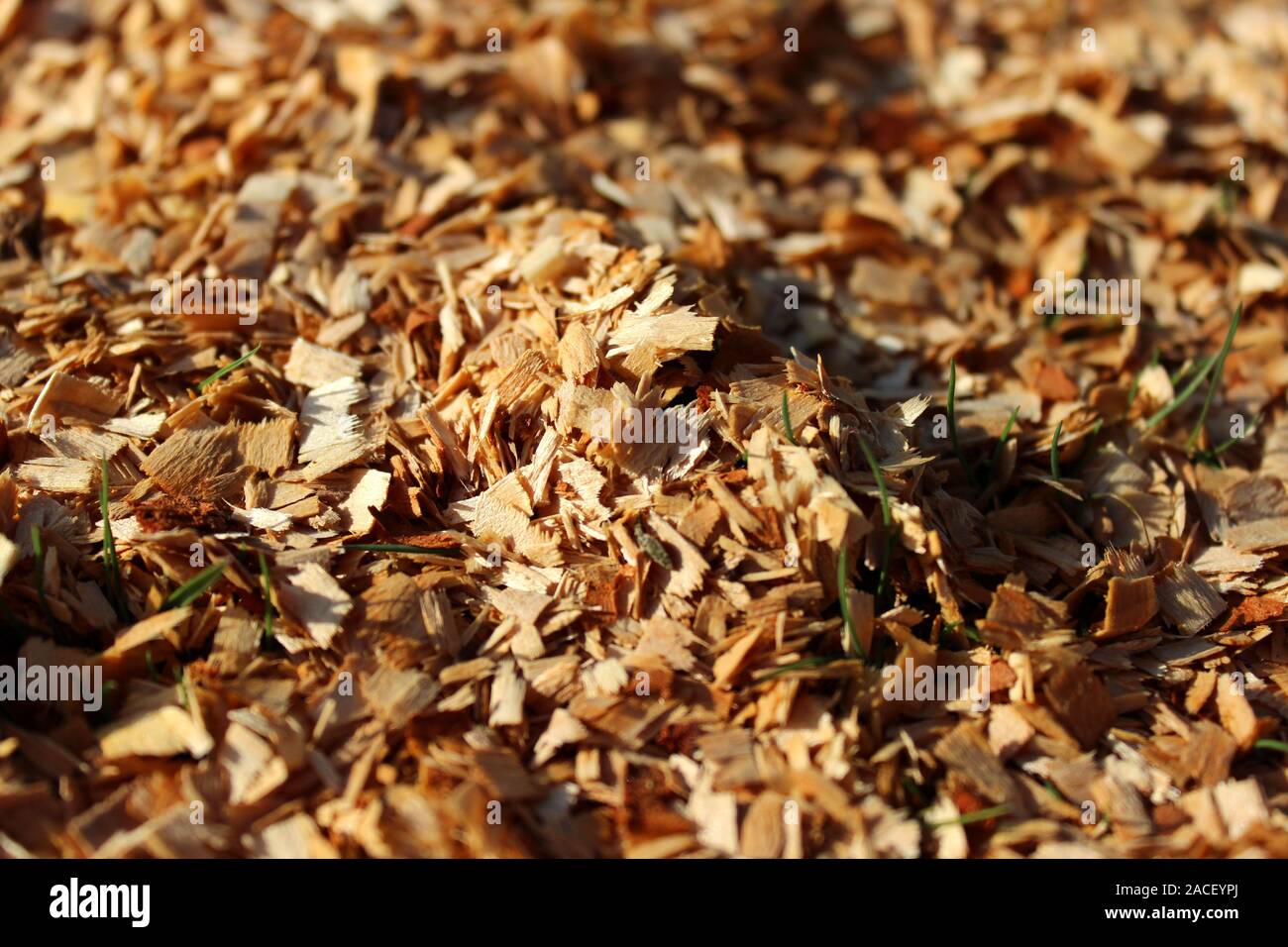 Background with wood chips Stock Photo - Alamy