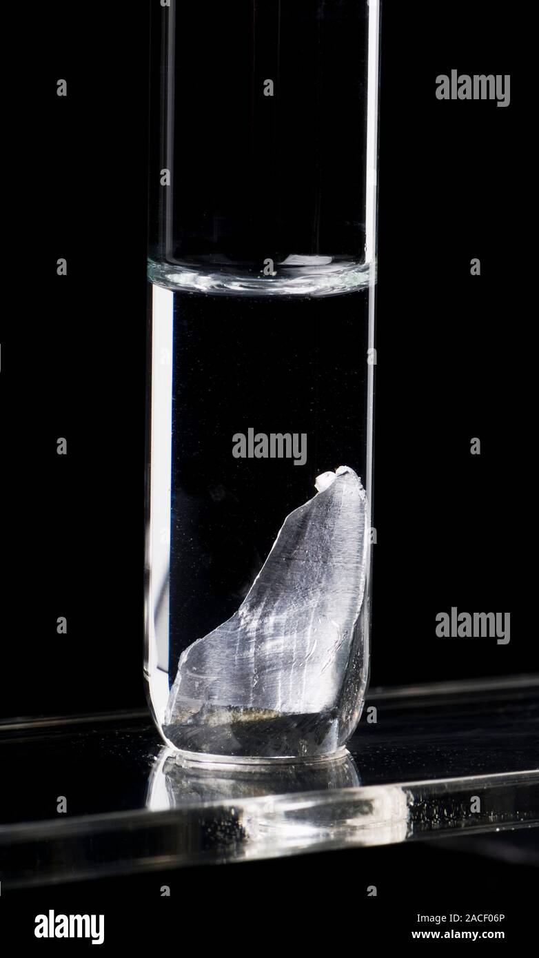 Lead in acid. Piece of lead (Pb) in a test tube of hydrochloric acid ...