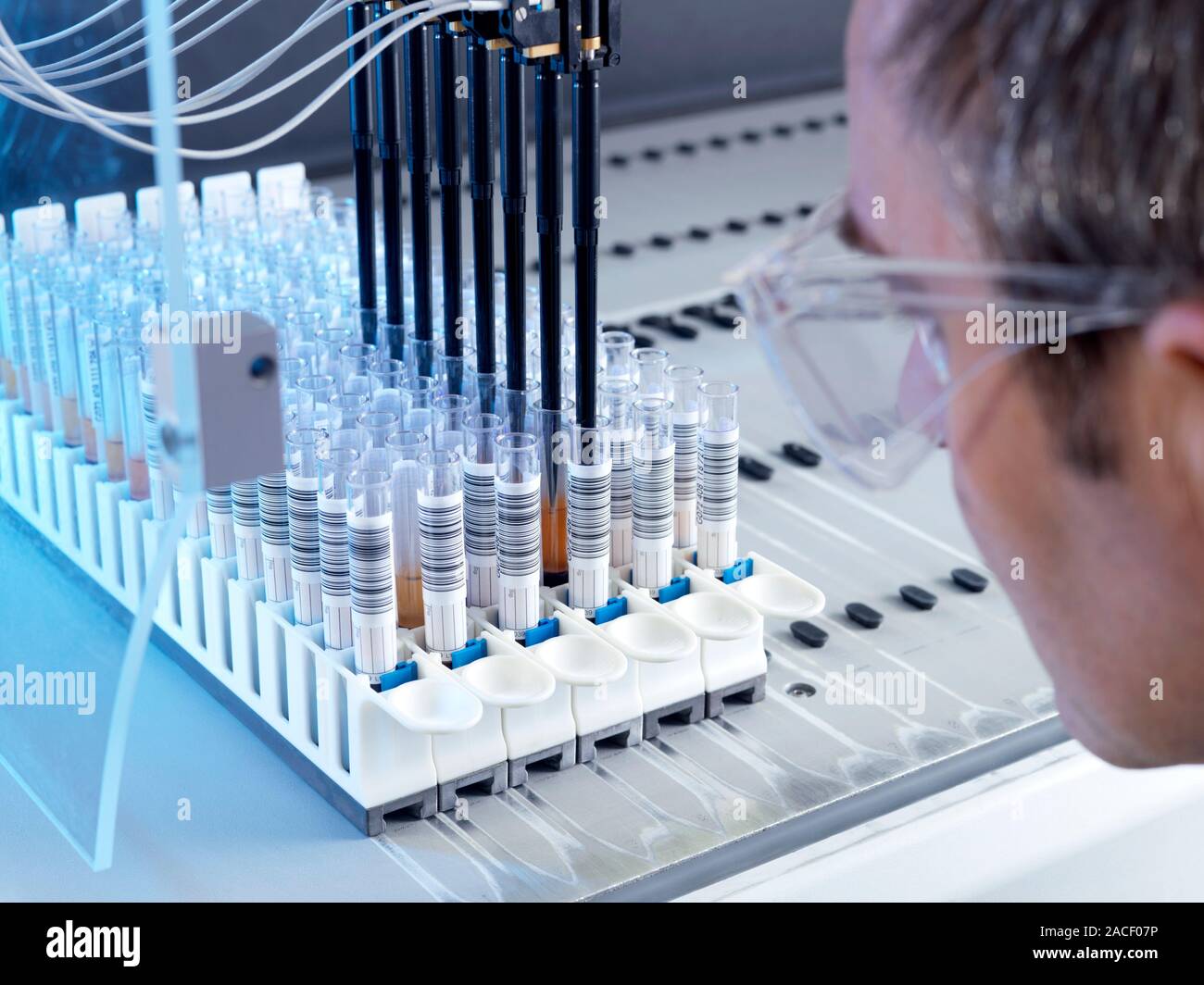 Blood screening. Blood plasma samples being dispensed by an automated ...