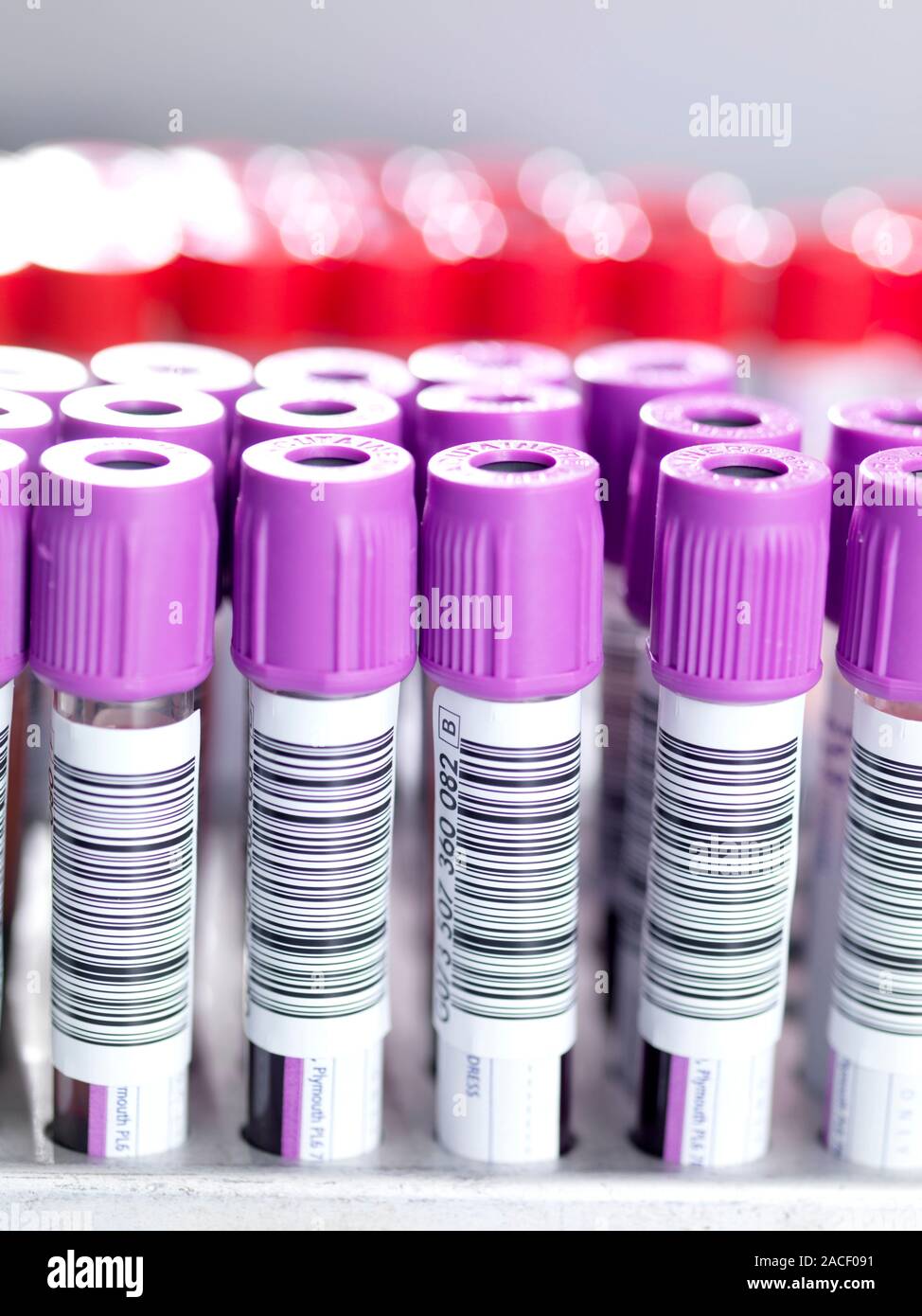 Blood samples. Blood sample tubes in a rack Stock Photo - Alamy