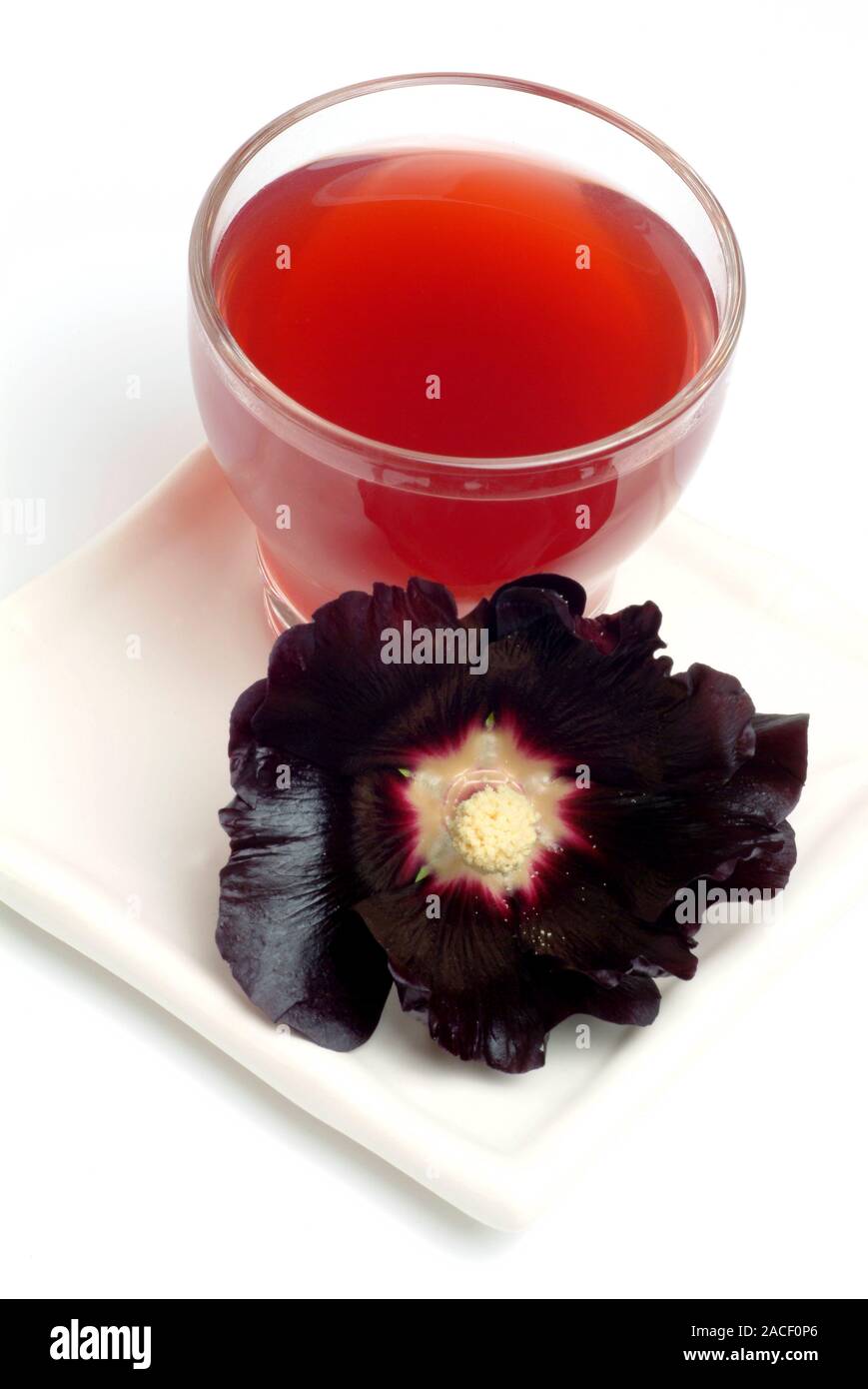 Hollyhock herbal tea. Flower of hollyhock (Alcea rosea), with a herbal ...