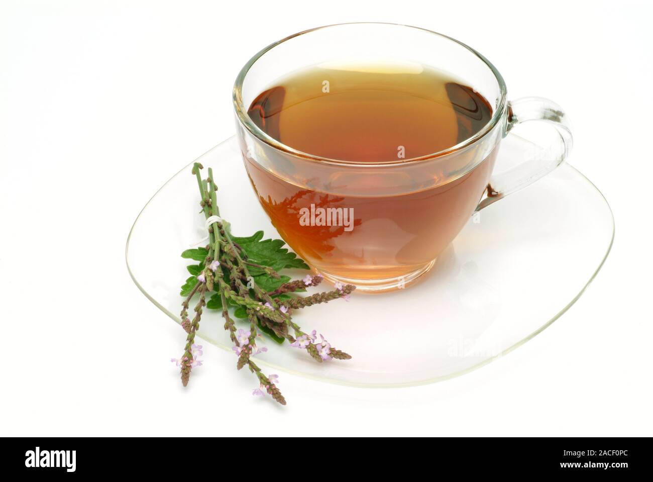 Vervain herbal tea. Flowers of vervain (Verbena officinalis), with a ...