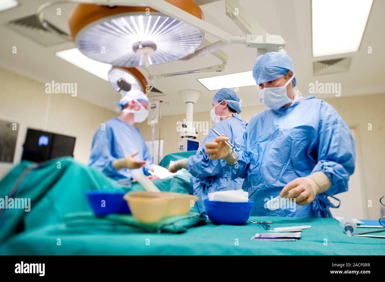 Hernia operation. Surgeons performing surgery to repair a hernia in a ...
