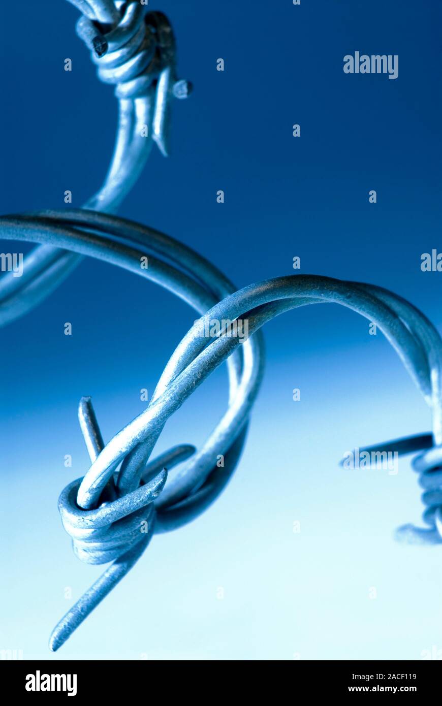 Barbed wire, computer image. Close-up of barbs on a section of barbed ...