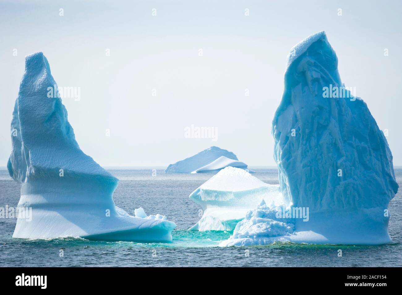 Icebergs. Icebergs are large pieces of freshwater ice that have broken ...