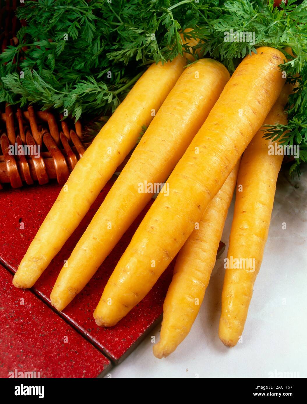 Carrots (Daucus carota 'Yellowstone' Stock Photo - Alamy