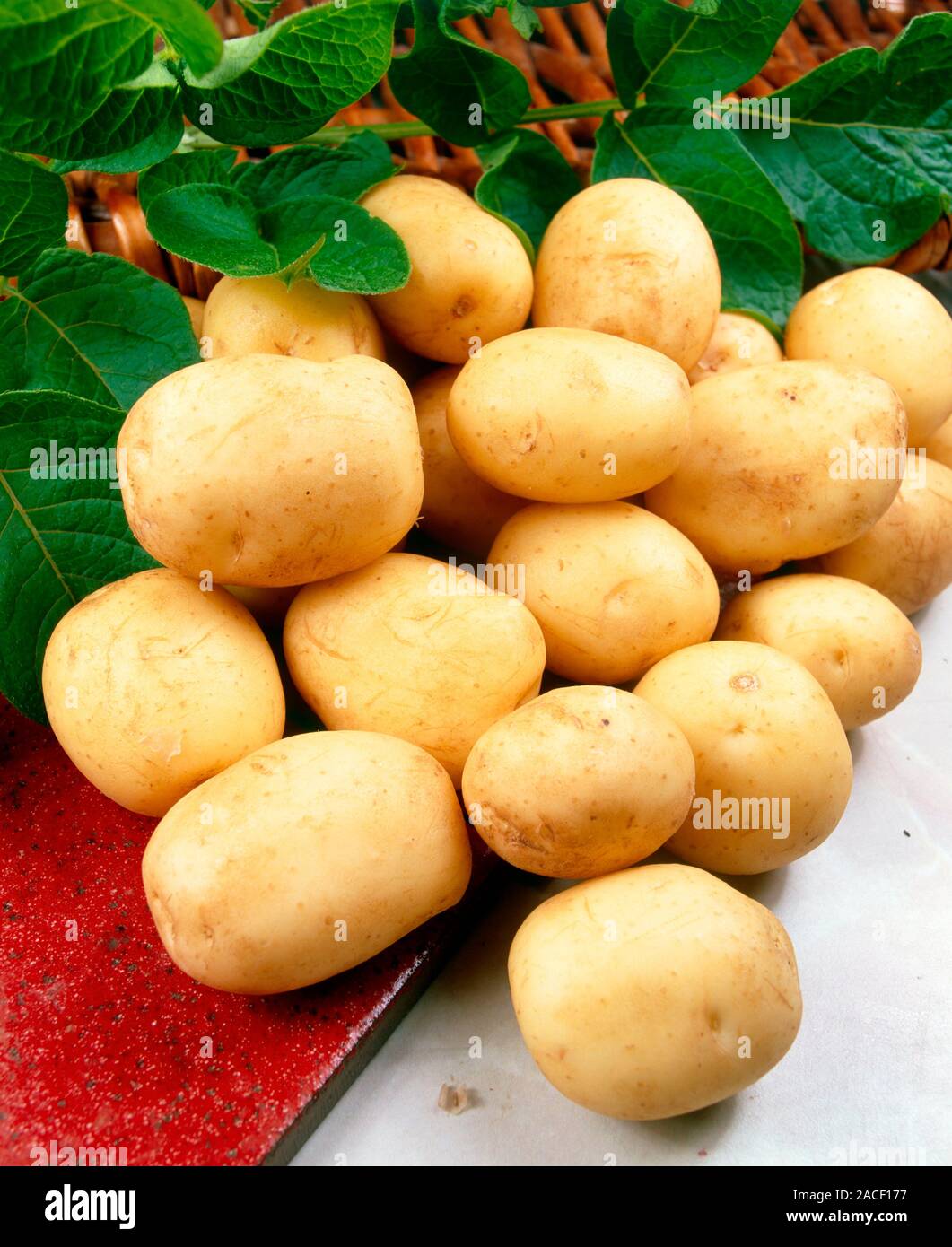 Potatoes (Solanum tuberosum 'Foremost' Stock Photo - Alamy