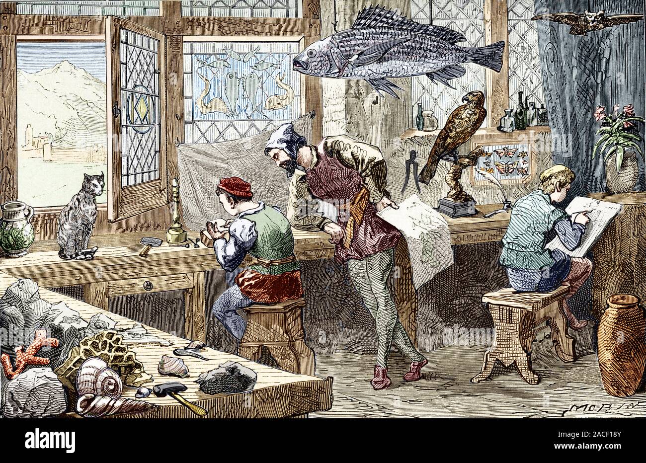 Collection of Conrad Gessner (1516-1565), coloured artwork. Gessner was ...