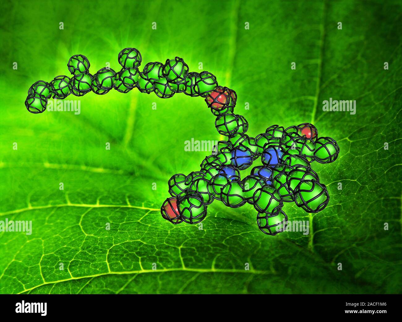 Chlorophyll moleucle. Conceptual computer artwork of a chlorophyll ...