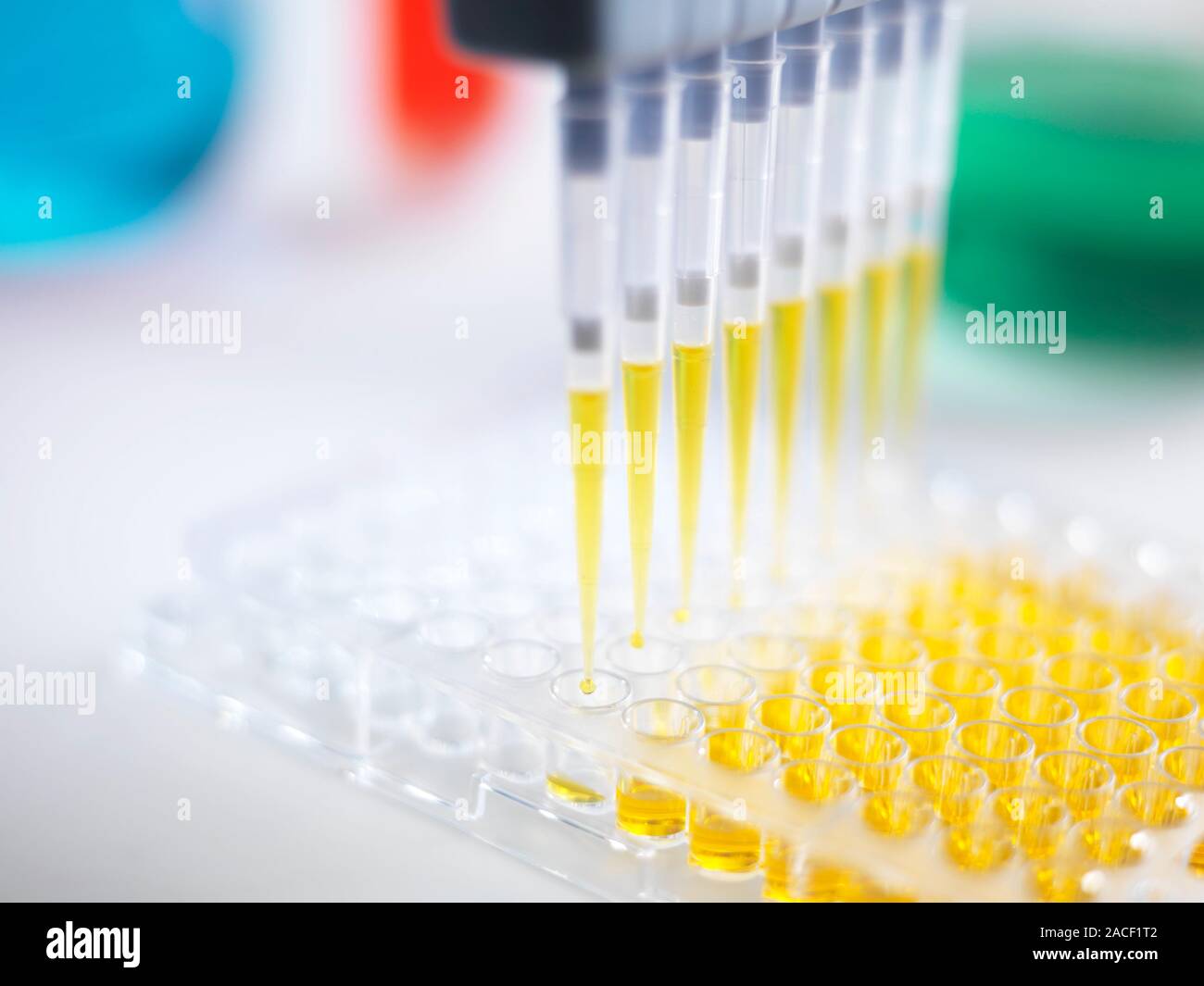 Multi-pipette filling a multi-well tray. Close-up of a multi-pipette ...