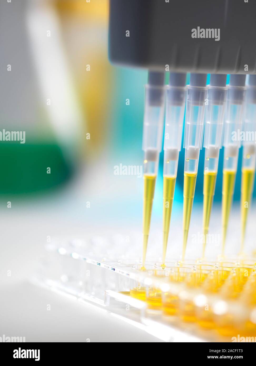 Multi-pipette filling a multi-well tray. Close-up of a multi-pipette ...