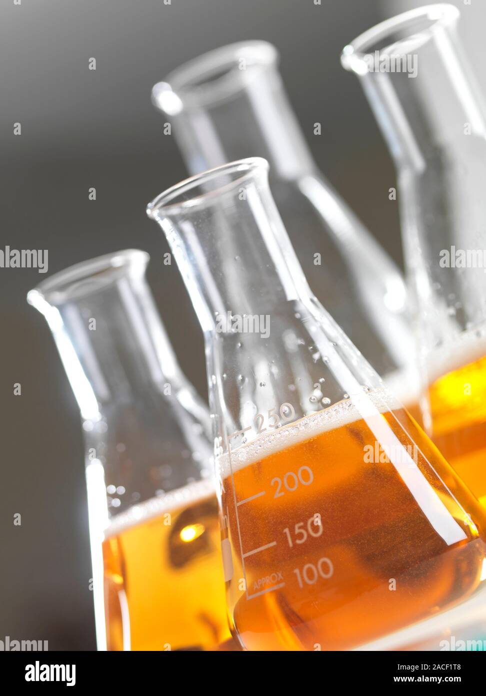 Cell growth medium in flasks, close-up. Cell growth medium is a liquid ...