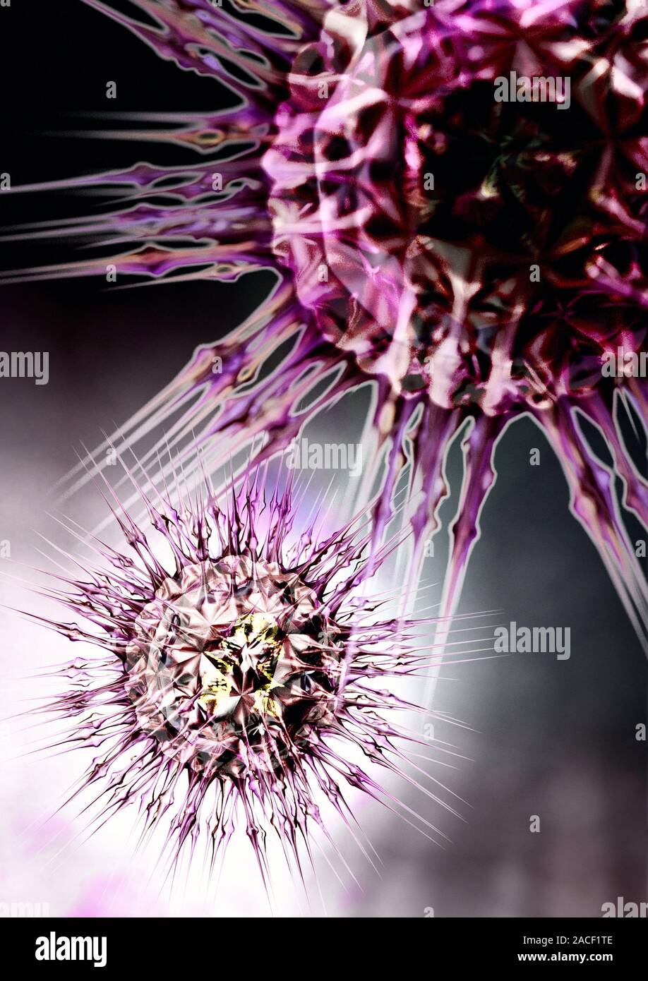 Virus particles, conceptual computer artwork. Viruses contain a core of ...