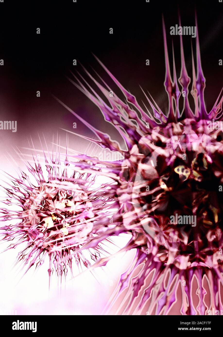 Virus particles, conceptual computer artwork. Viruses contain a core of ...