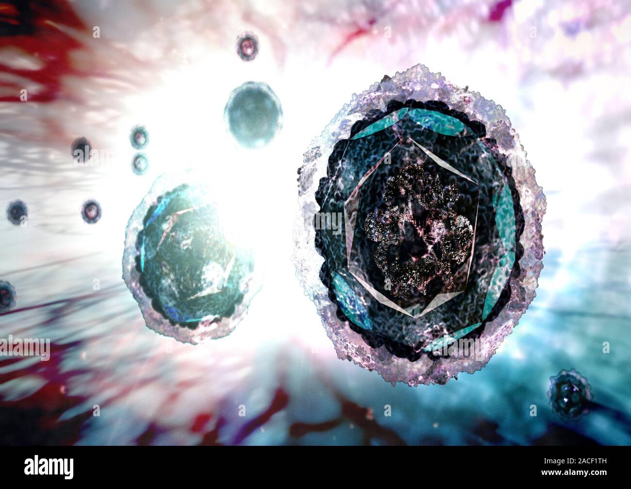 Avian influenza (flu) virus. Computer artwork of H5N1 avian (bird ...