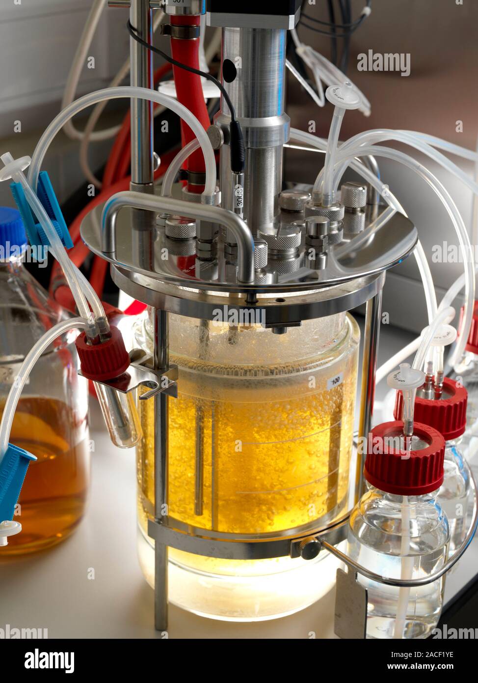 Bioreactor. Small-scale bioreactor used for cell growth and recombinant ...
