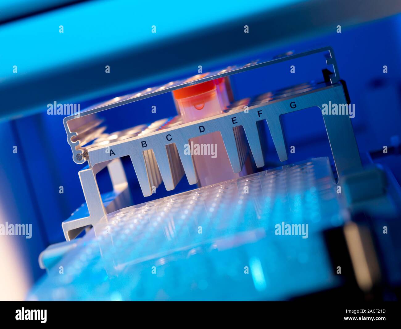 High throughput screening. Close-up of the sample compartment of a high ... High throughput screening. Close-up of the sample compartment of a high ...