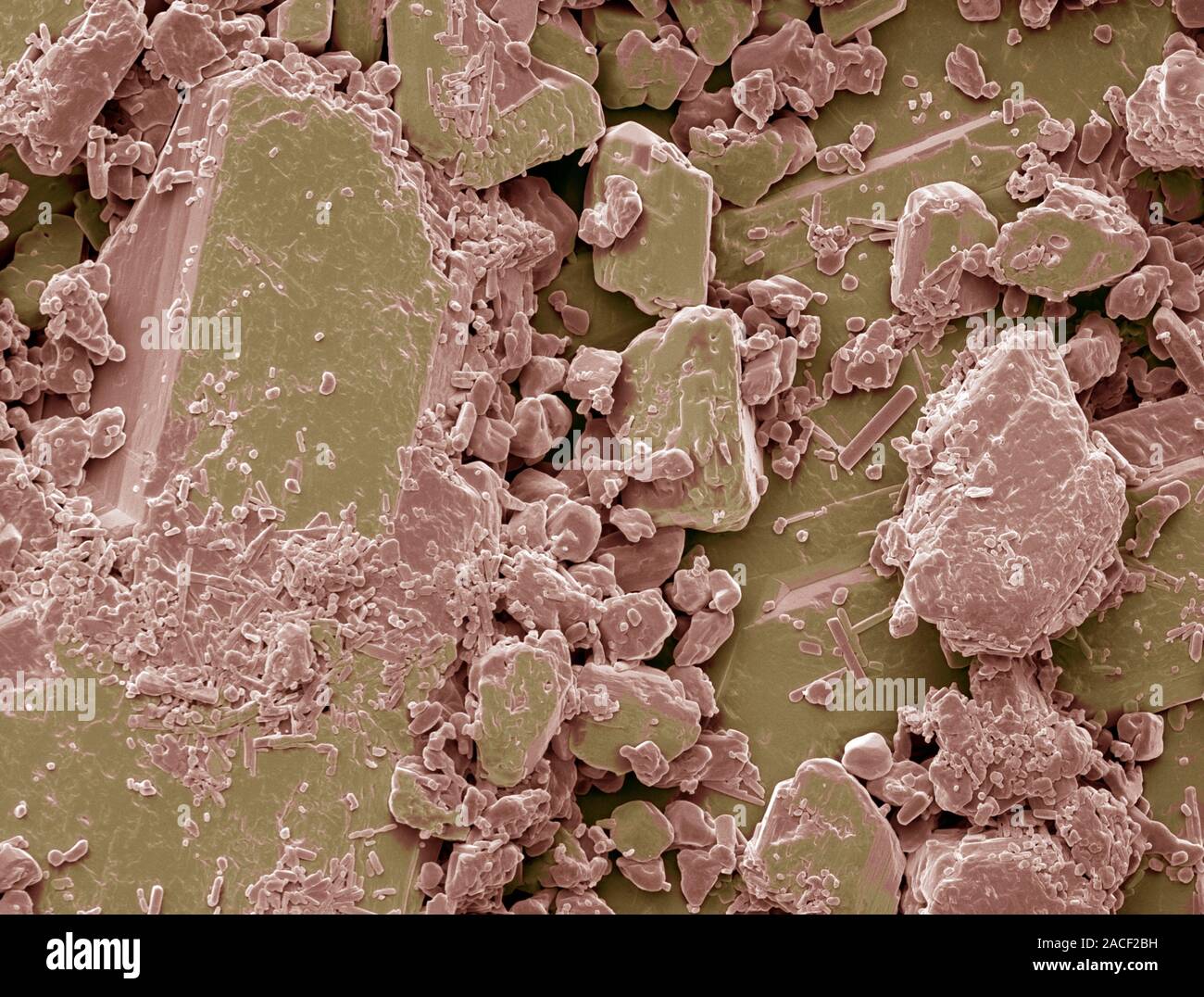 Low-sodium salt. Coloured scanning electron micrograph (SEM) of low ...