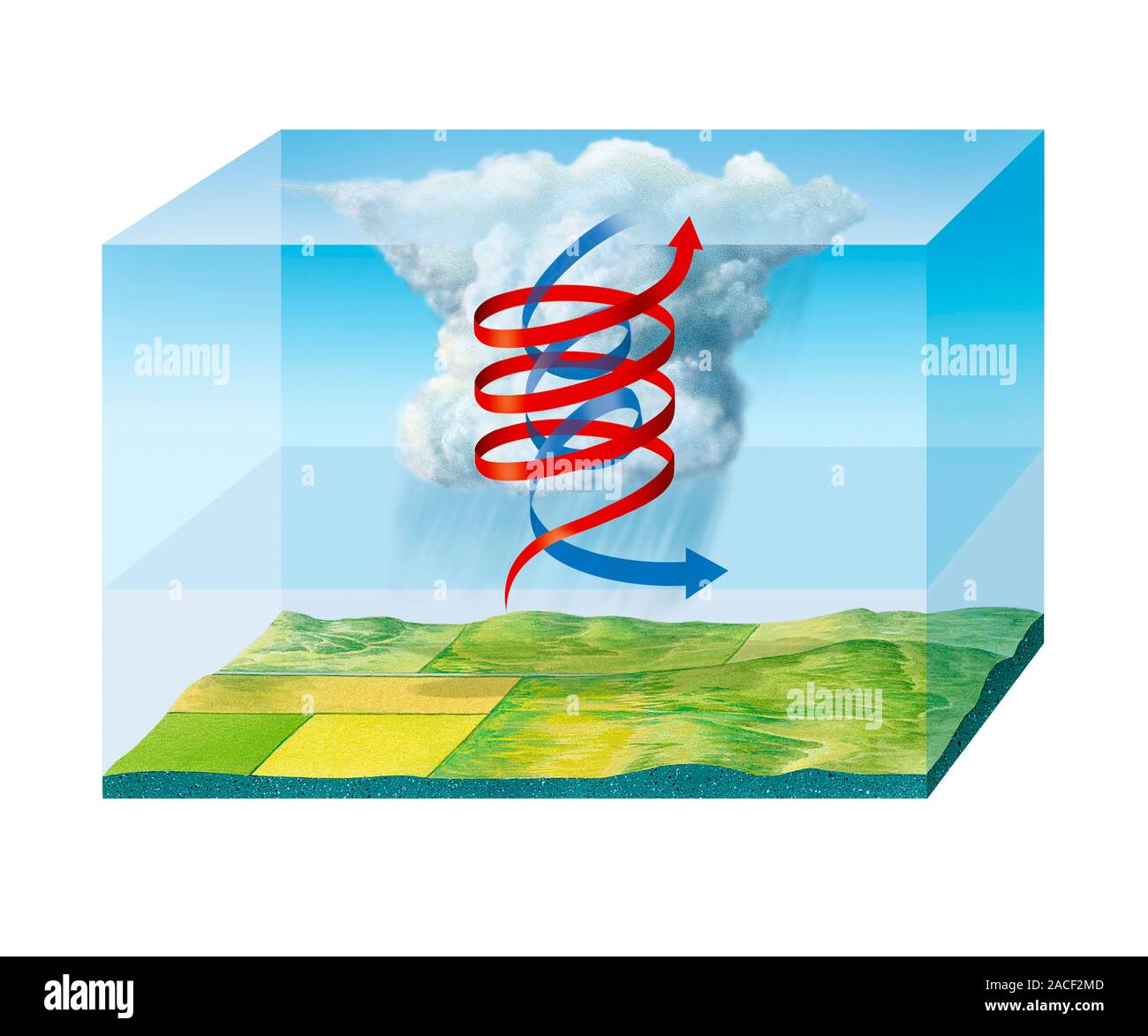 Tornado formation, computer artwork. Image 2 of 4. Tornados develop ...