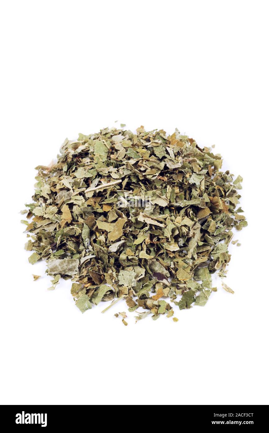 Blackberry leaves herb (Rubus villosus). This is used in herbal ...