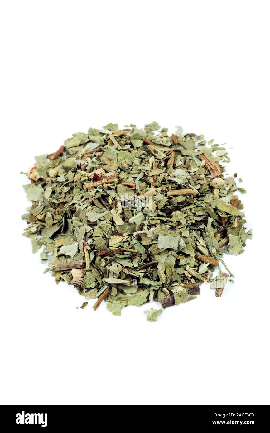 Bogbean herb (Menyanthes trifoliata). This is used in herbal medicine ...