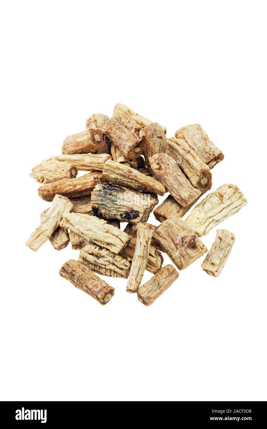 Dang shen (Codonopsis tangshen). This is used in Chinese medicine to ...