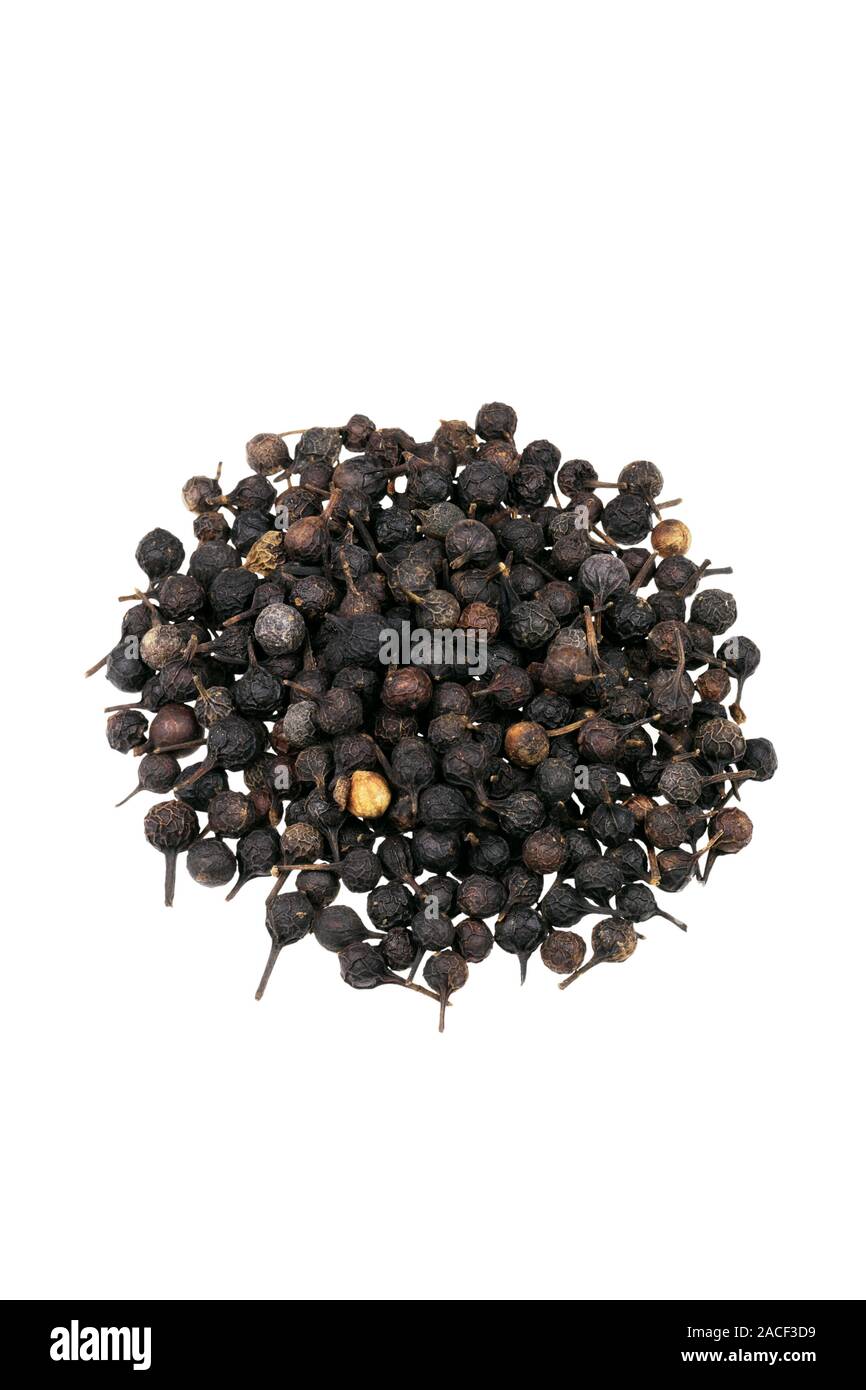 Cubeb berries (Piper cubeba). As well as it's culinary use, cubebs are ...