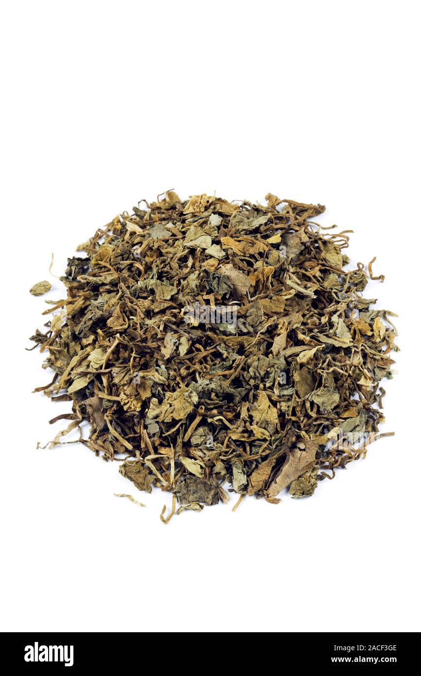 Pilewort herb (Ranunculus ficaria). This is used in herbal medicine to ...