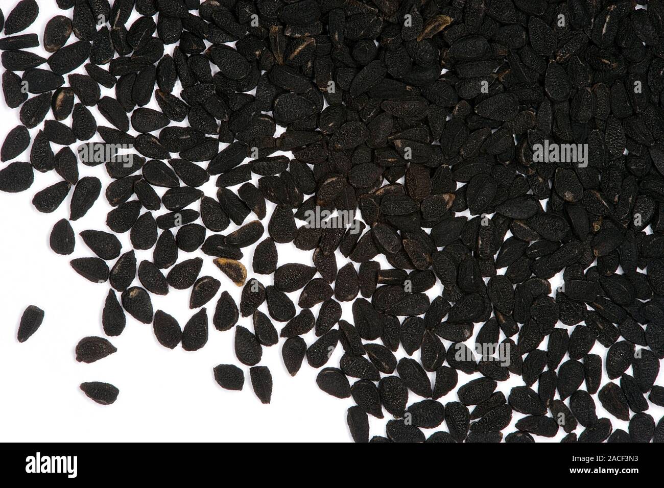 Nigella seeds (Nigella sativa). Nigella seeds, also known as black ...